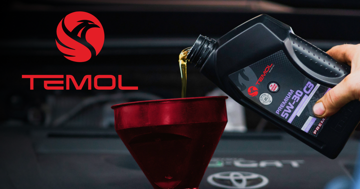 Рестайлінг лого та розробка сайту для Temol