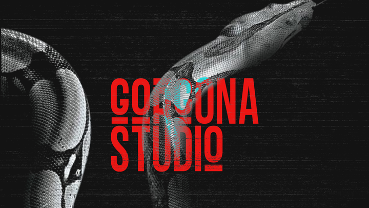 Привіт, ми - Gorgona Studio!
