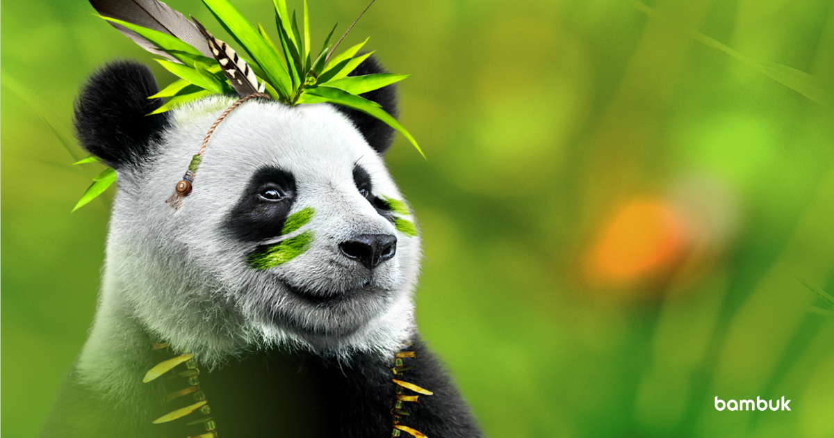 Bambuk Studio | CASES